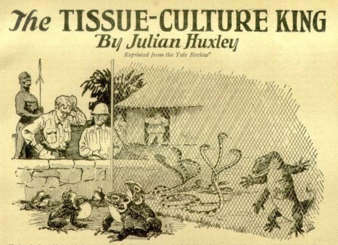 THE TISSUE-CULTURE KING (1) – HILOBROW