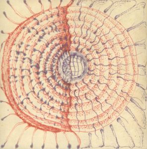 SCHEMATIZING (14) – HILOBROW