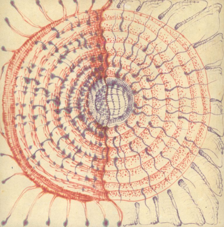 SCHEMATIZING (14) – HILOBROW