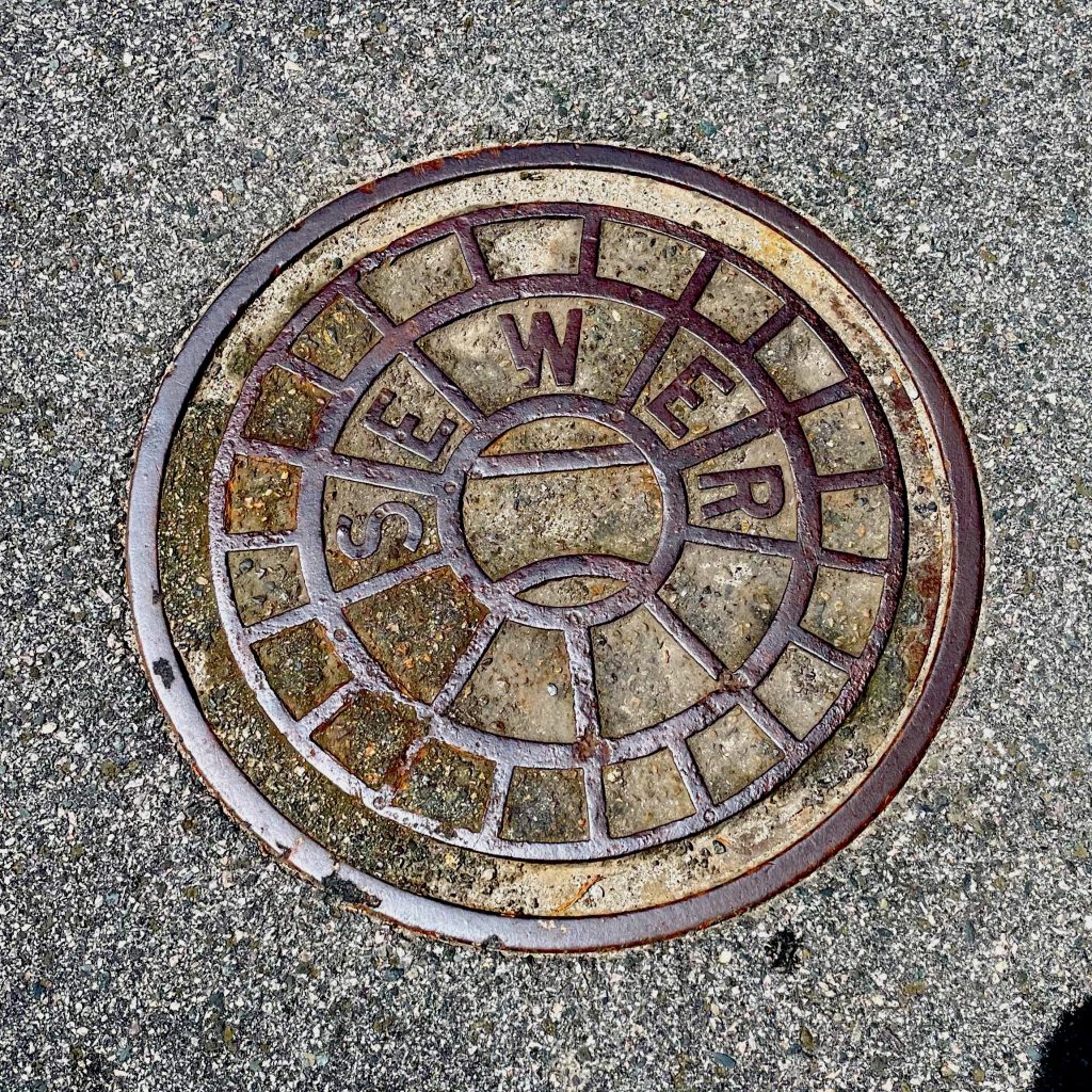 PHOTO DUMP (6-23) – HILOBROW