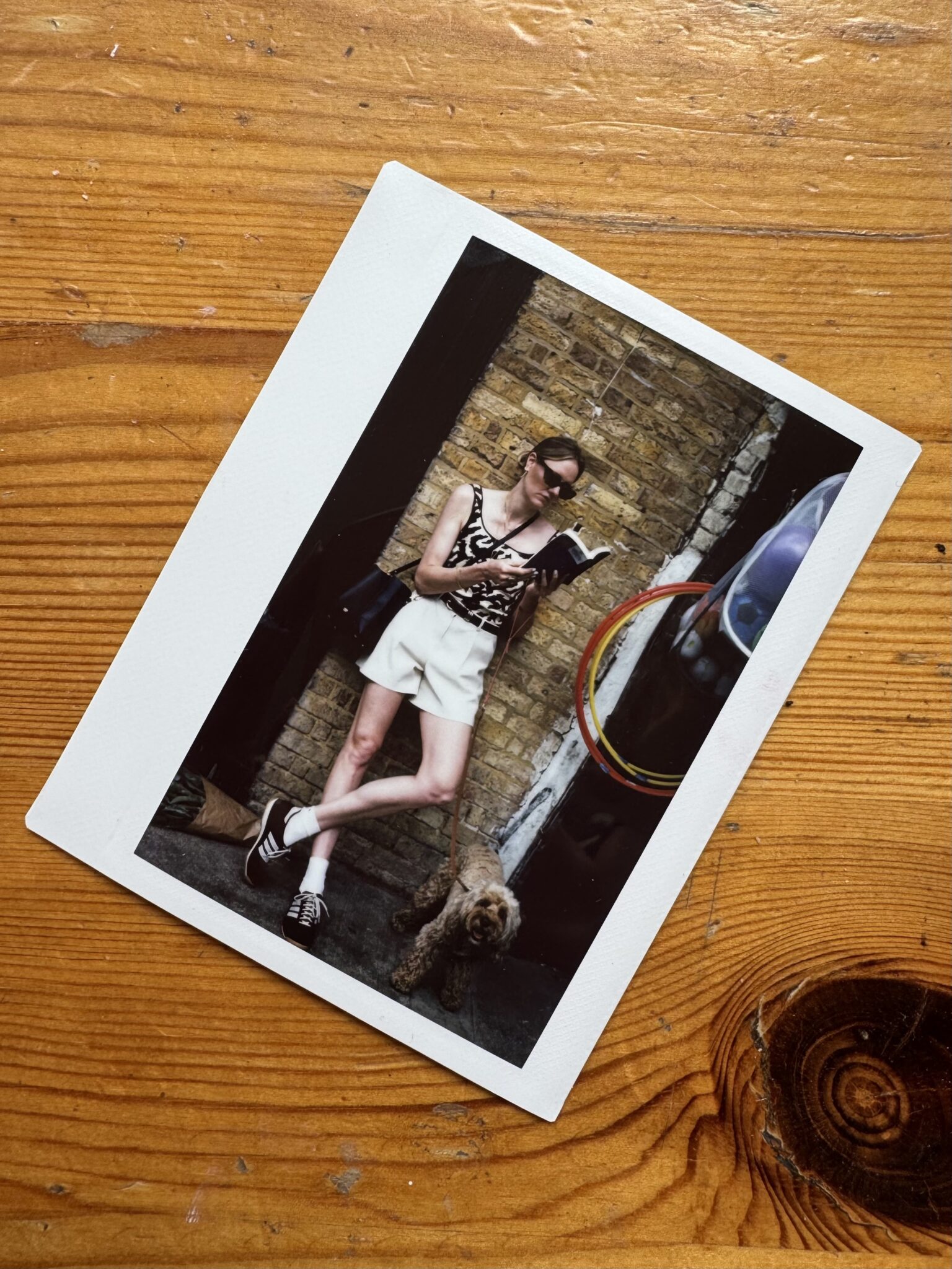 HYPOCRITE IDLER 4Q2025 – HILOBROW